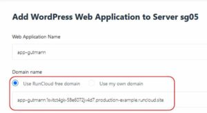⚡Panduan dan Review Menginstall Wordpress di VPS dengan Runcloud | wpidn.com